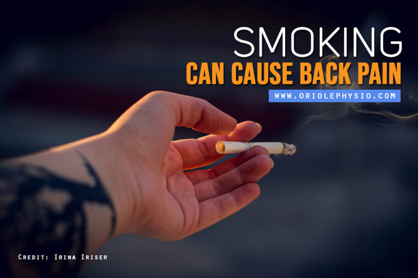 How to Effectively Manage Back Pain | Oriole Physiotherapy ...